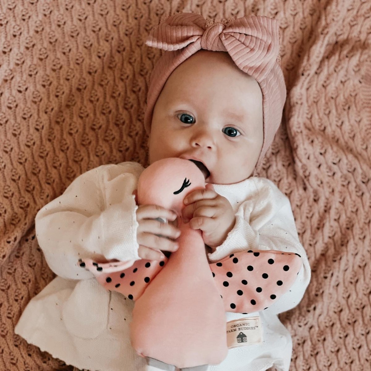 Franny Flamingo Plush Toy | Bee Like Kids